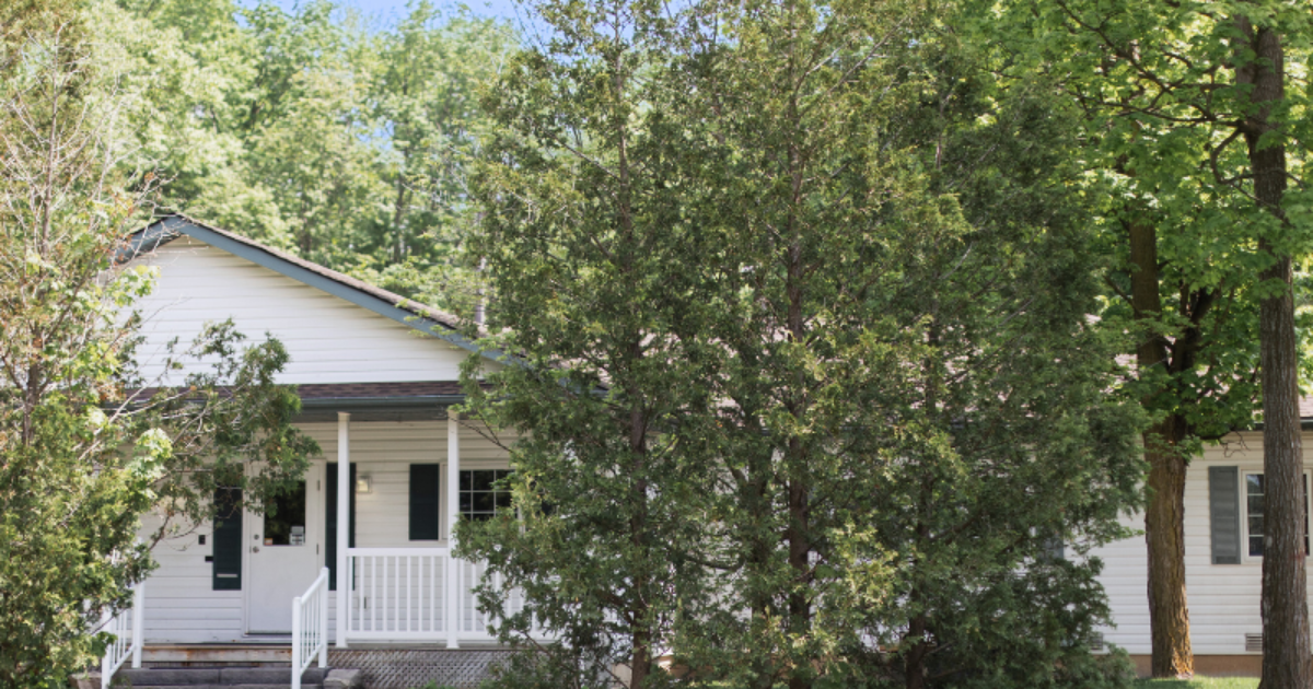 New Mental Health Program: Birchlands: Step Up Step Down Program ...